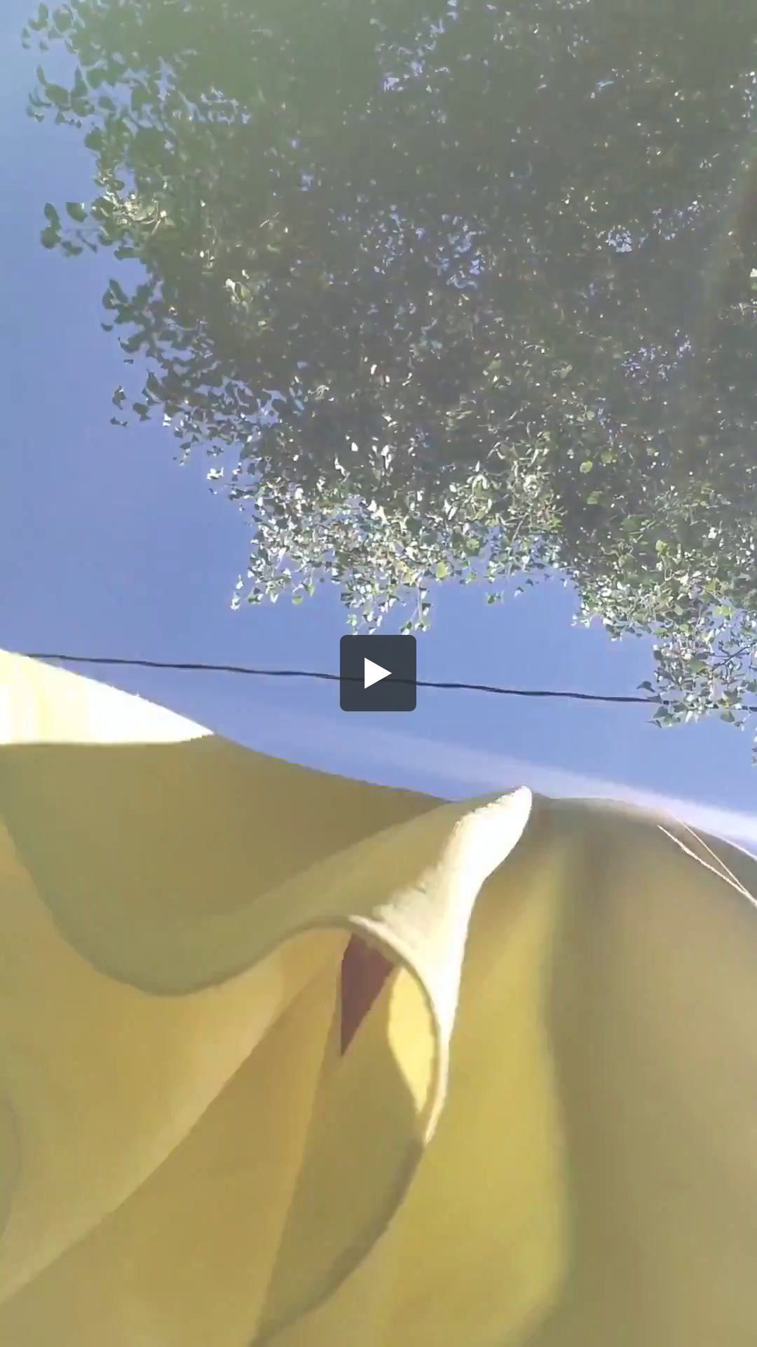 20200729_161109_1.mp4 | Dainty Rascal Dancing