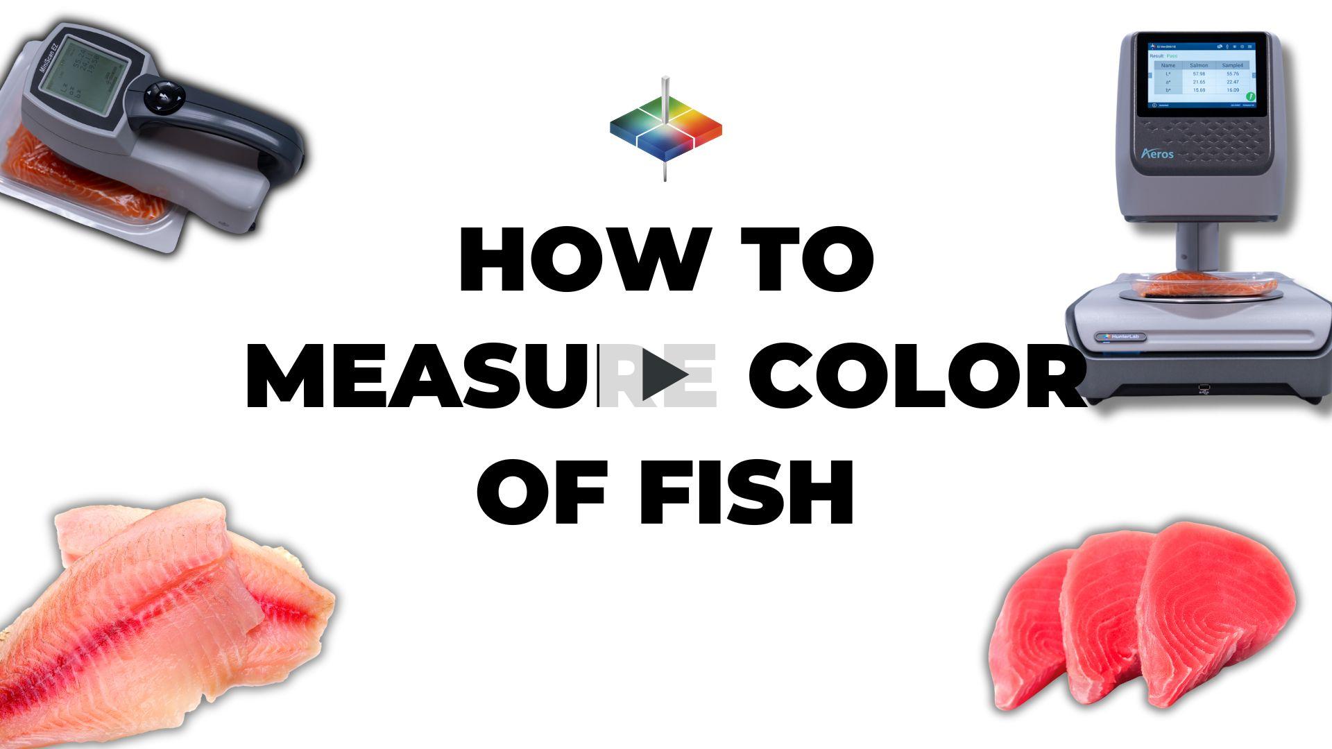 How to measure color of Fish | HunterLab