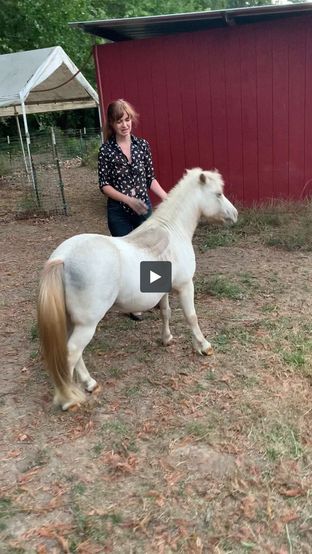 IMG_1081.MOV | Dainty Rascal Dancing