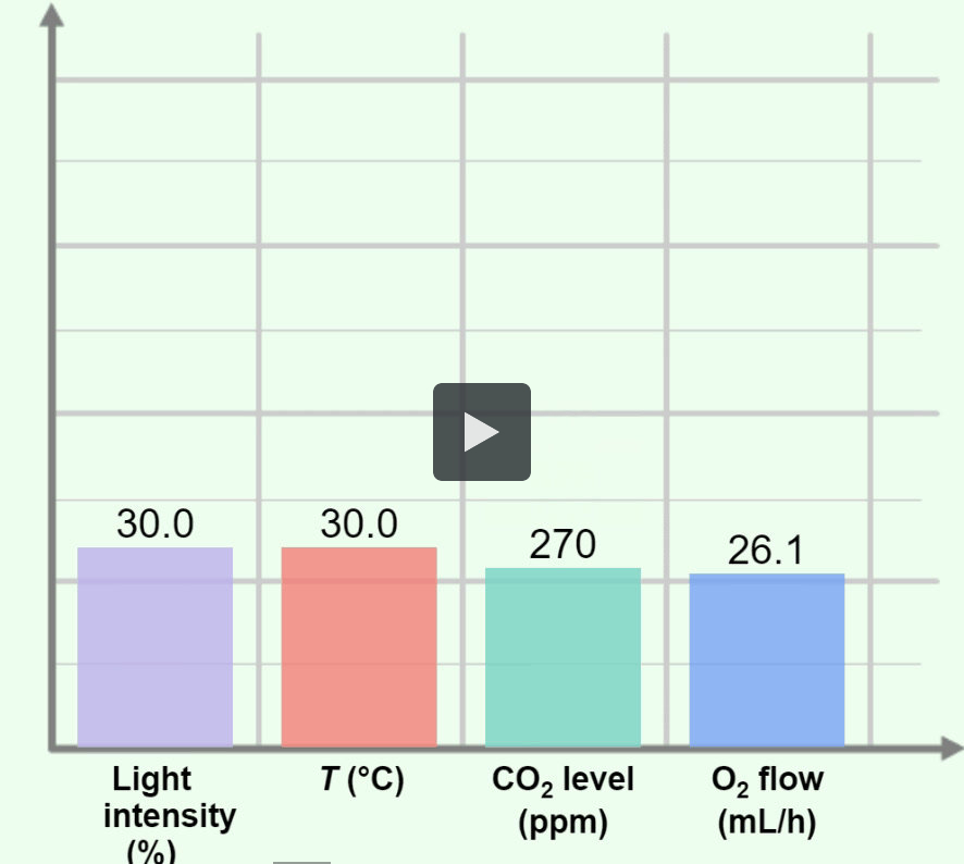 Carbon Dioxide vs Oxygen - Plant and Snail | Mountainheightsacademy
