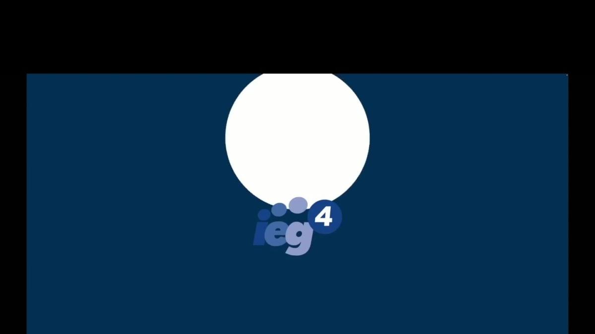 IEG4: Enabling a Digital Society