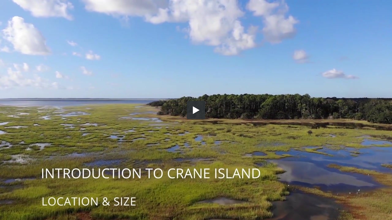 Introduction To Crane Island | Crane Island