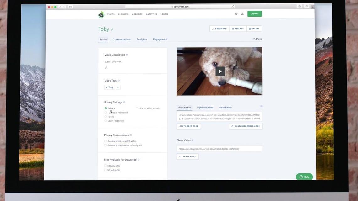 SproutVideo Support Knowledge Base | Help Center