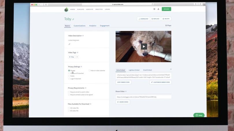 SproutVideo Support Knowledge Base | Help Center