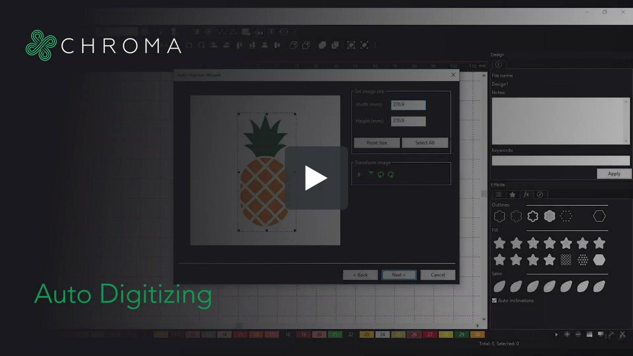Chroma: Auto Digitizing | Ricoma