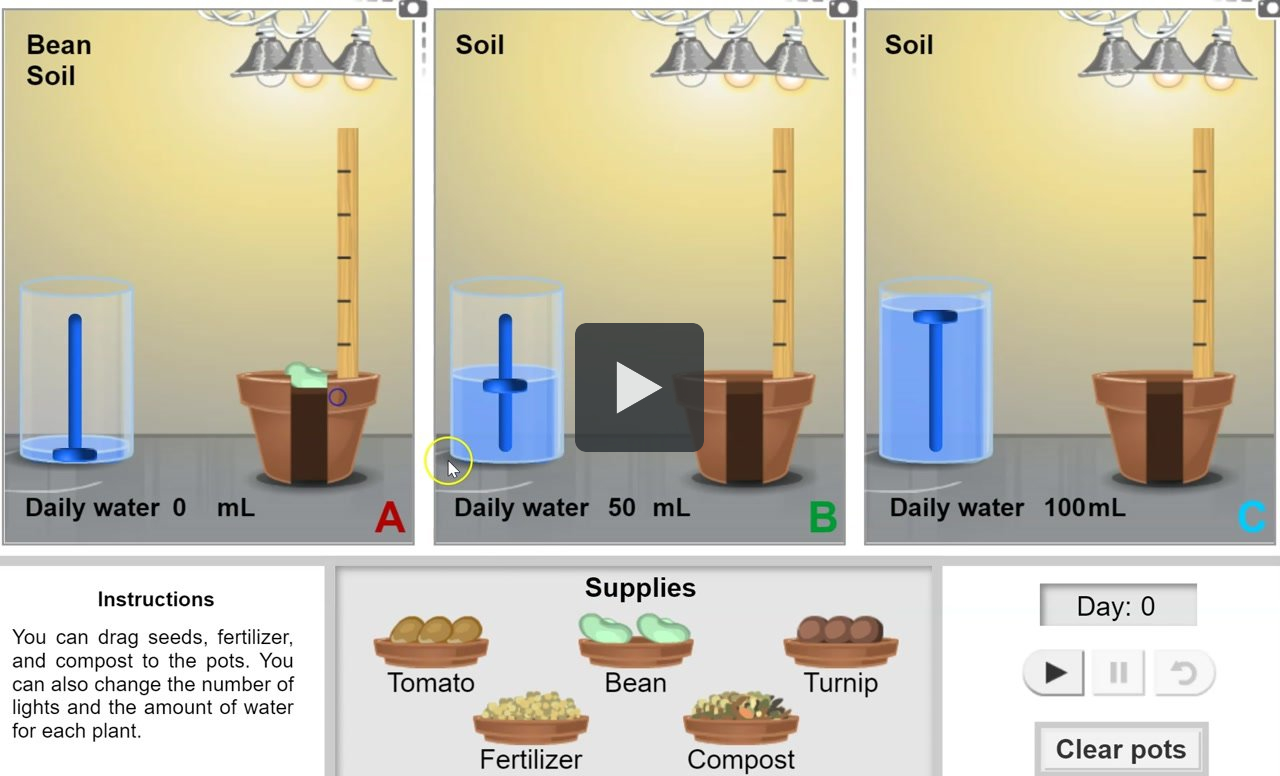 Growing Plants simulation Demo | Mountainheightsacademy