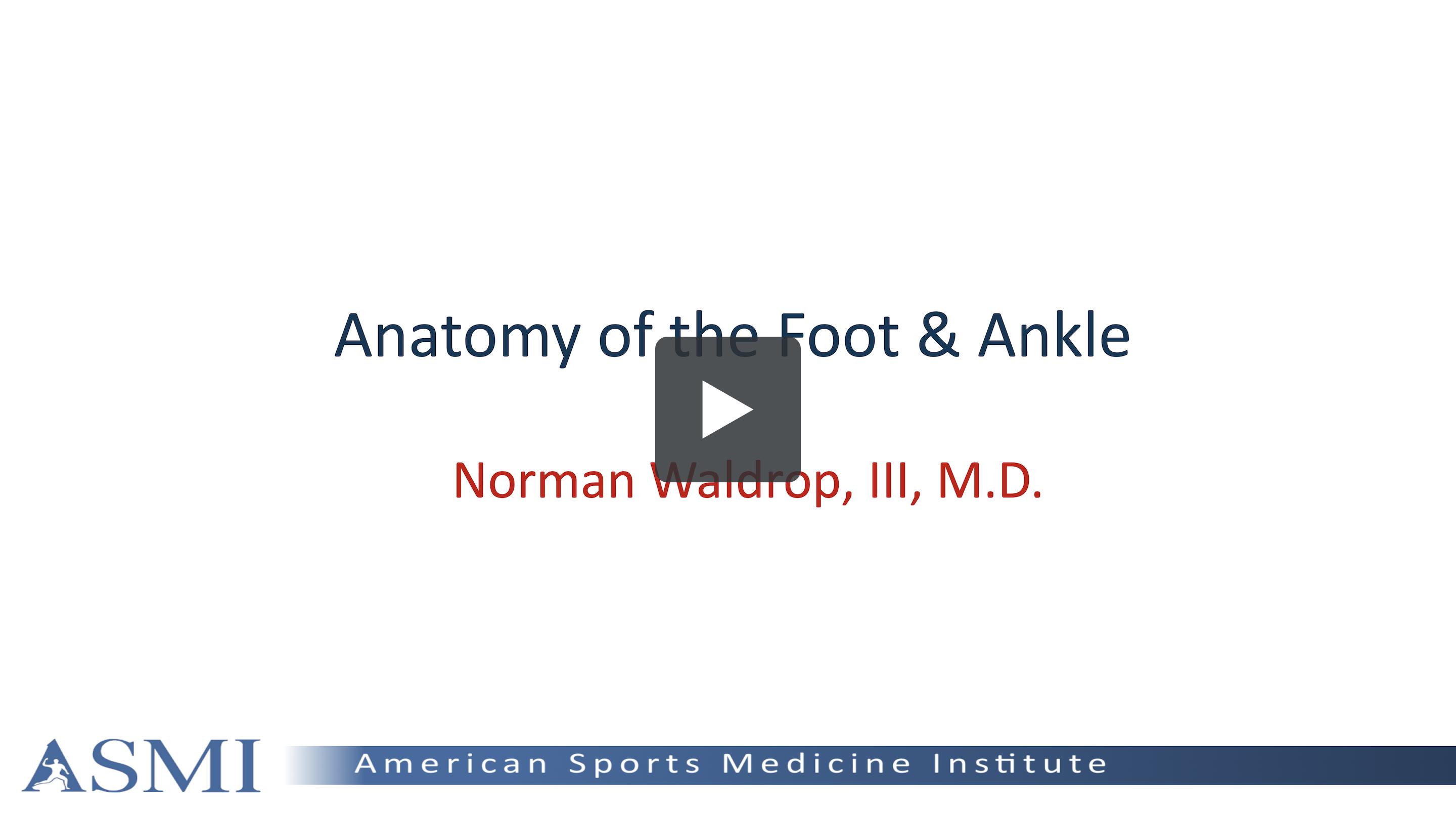 Anatomy of the Foot & Ankle | American Sports Medicine Institute Video ...