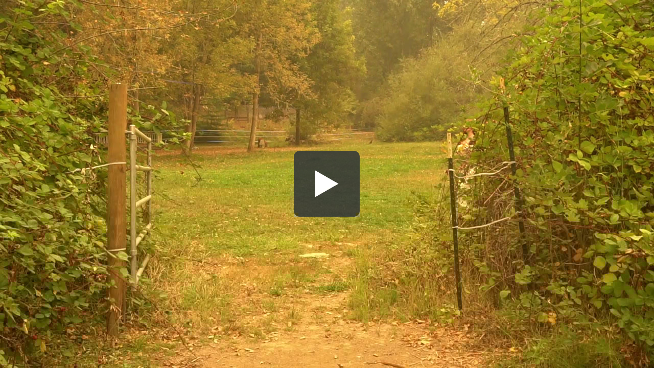 suzy_q.mp4 | Dainty Rascal Dancing