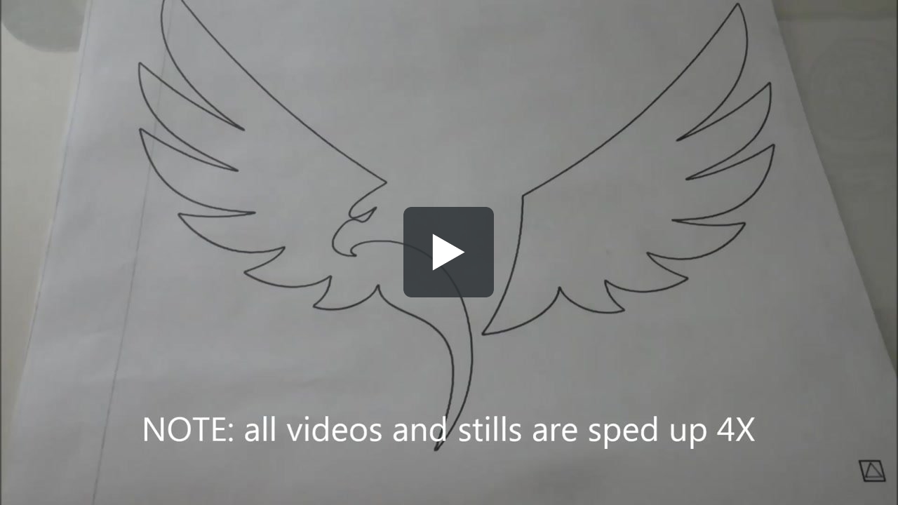 digitizing a flying eagle diagram | The Logic Group Video Library