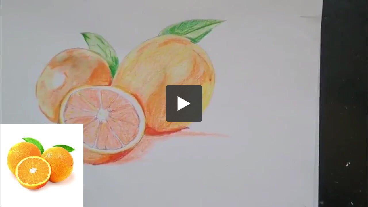 Drawing oranges with colored pencils | Art On Demand ~ A library of art ...