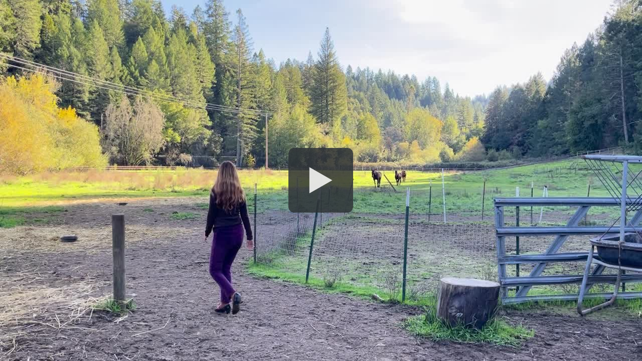 IMG_1518.MOV | Dainty Rascal Dancing